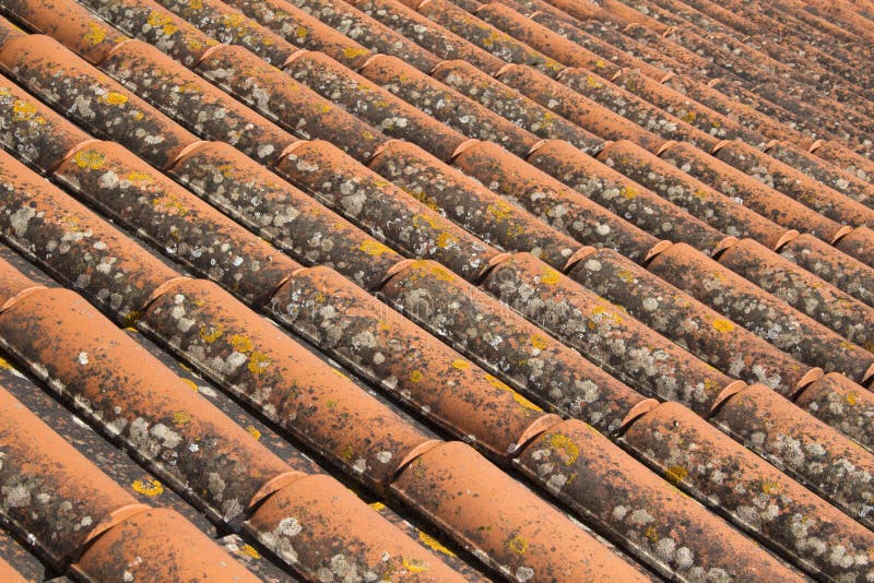 Portugese Daktegels stock foto. Image of portugees, rijen - 55049030