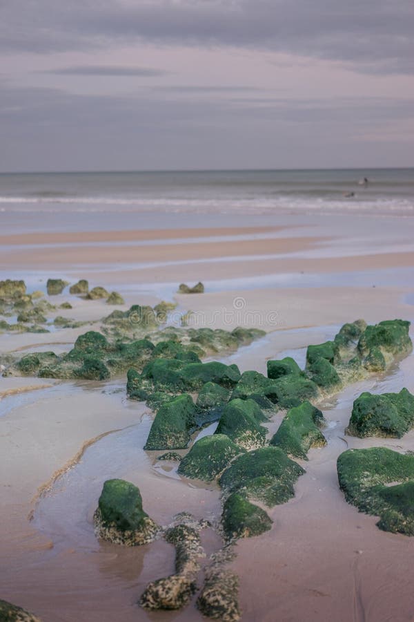 Green rocks on the beach stock image. Image of stones - 204384423