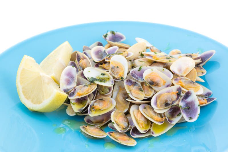 Purple wine grapes stock image. Image of food, grow, wine - 13535411