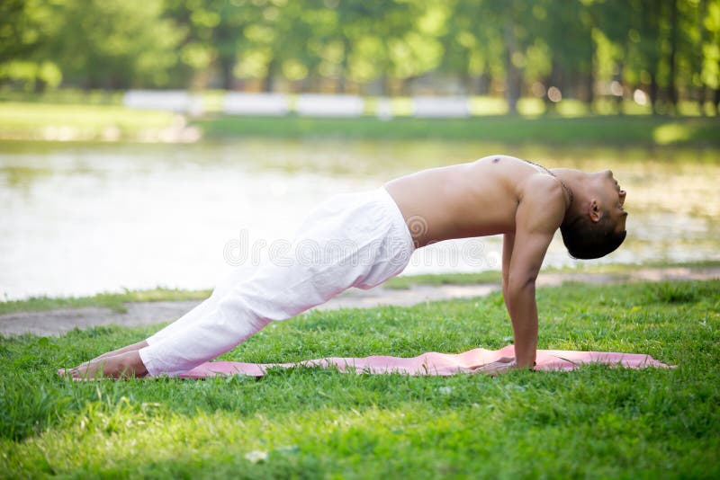 Pose Ascendante De Yoga De Planche Photo stock - Image du activité ...