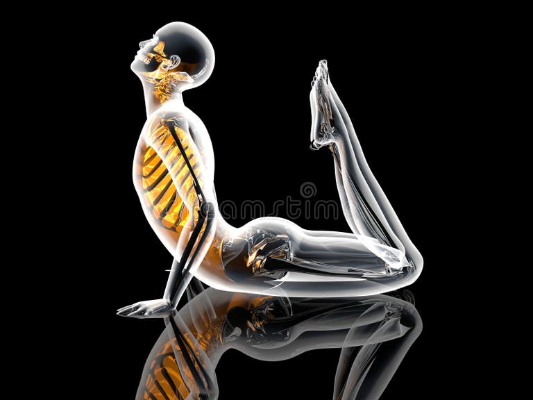 Pose da ioga - rei Cobra ilustração stock. Ilustração de treinamento ...