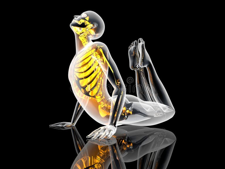 Cobra De Yoga Stock Illustrations, Vecteurs, & Clipart – (1,488 Stock ...