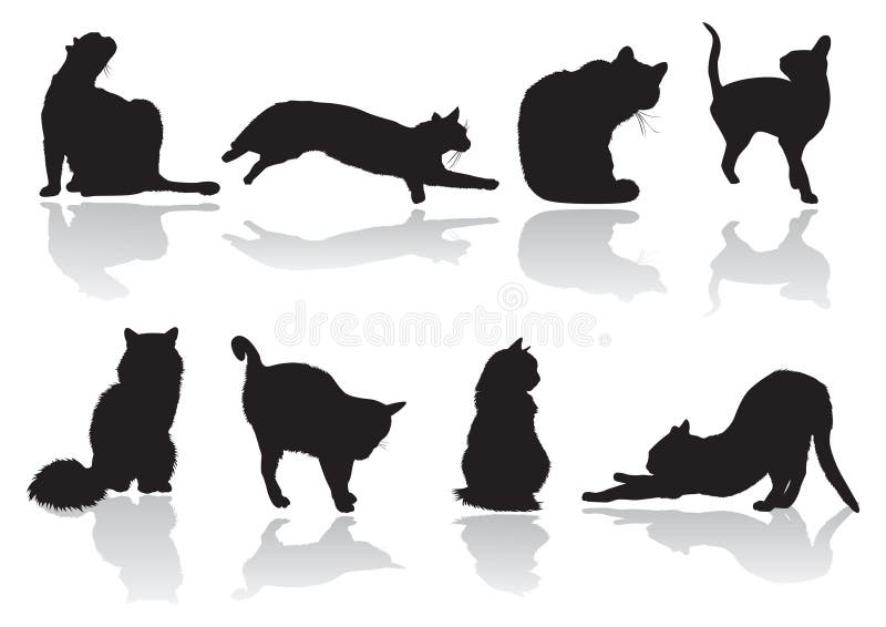 Pose do gato ilustração do vetor. Ilustração de silhueta - 11204480