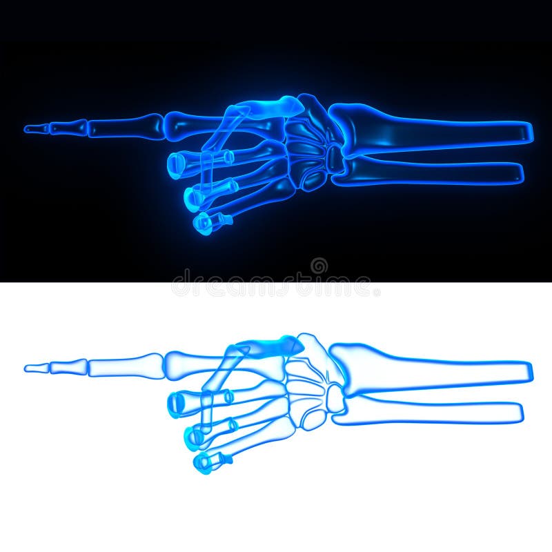 Pose hand bone stock illustration. Illustration of dislike - 52564943