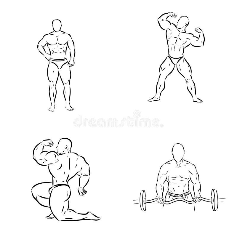 Posing Bodybuilder, Isolated Vector Silhouette, Ink Drawing Stock ...