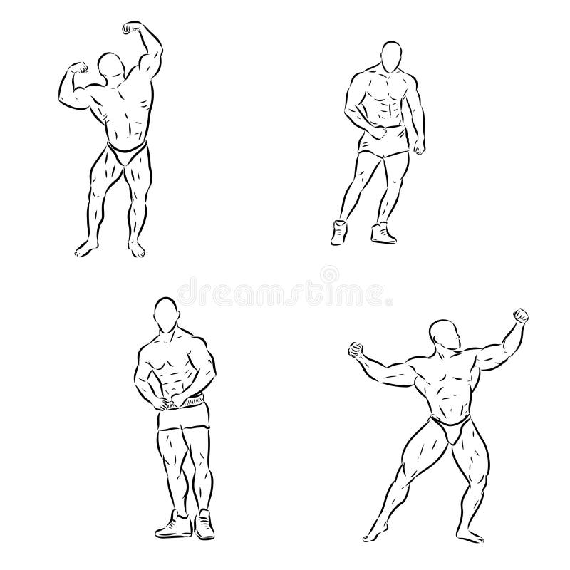 Posing Bodybuilder, Isolated Vector Silhouette, Ink Drawing Stock ...