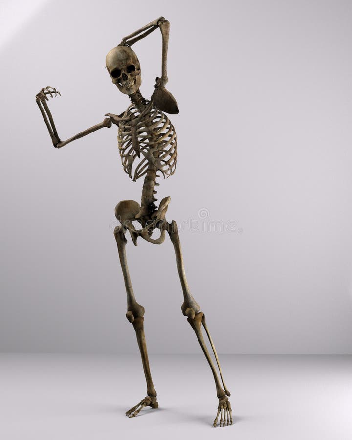 Posing bones stock illustration. Illustration of skeletons - 25978072