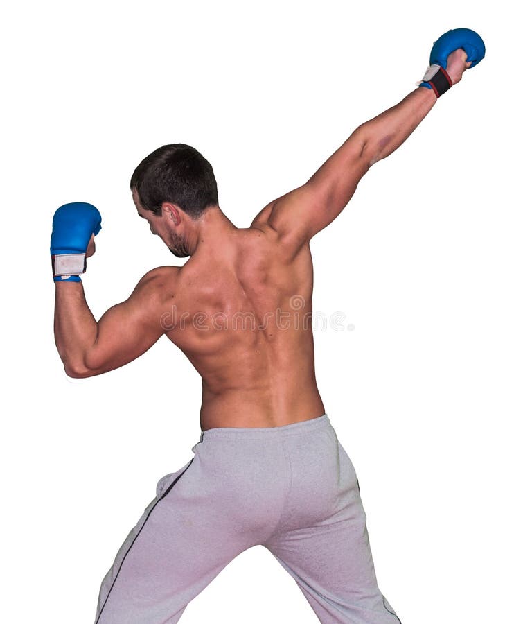 Posing boxer isolation stock photo. Image of injury, exercise - 38359108