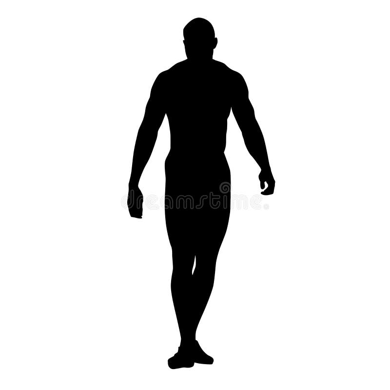 Structure Debout D'homme Musculaire Illustration Stock - Illustration ...