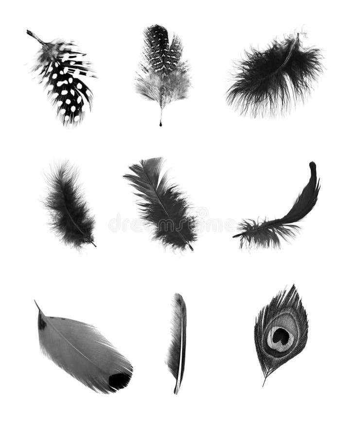 Positionnement de clavette illustration de vecteur. Illustration du ...