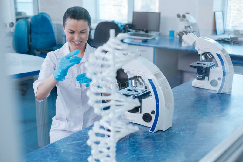 Positive Delighted Researcher Working in Modern Laboratory Stock Image ...