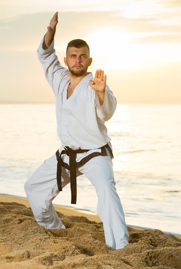 Guy doing karate poses stock photo. Image of judo, beach - 205506050
