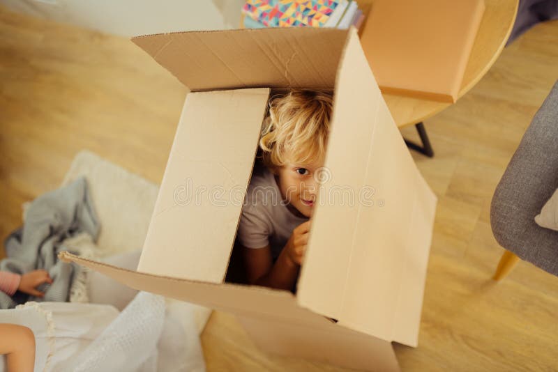 Positive Nice Boy Hiding in a Box Stock Image - Image of family, hiding ...