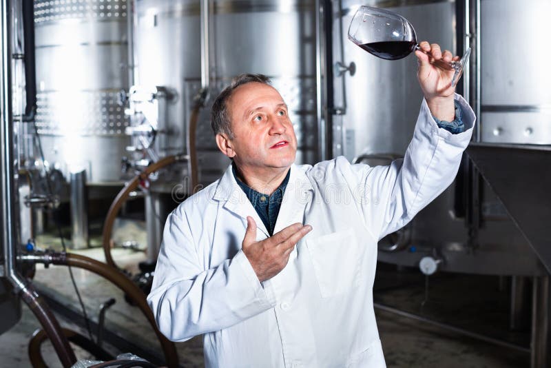 Wine Maker Controls Quality of Wine Stock Photo - Image of alcohol ...