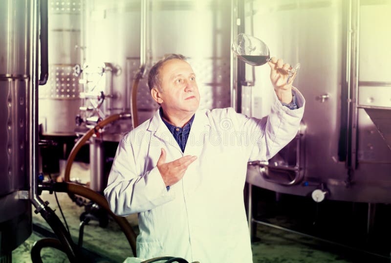 Wine Maker Controls Quality of Wine Stock Photo - Image of tasting ...