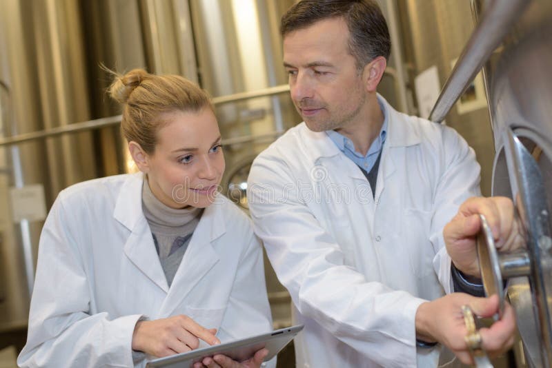 Positive Worker Assembly Line Operator Working in Modern Wine Factory ...