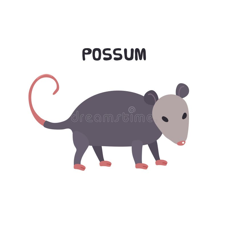 Possum Icon Clipart Logtotype Isolated Vector Illustration Stock Vector ...
