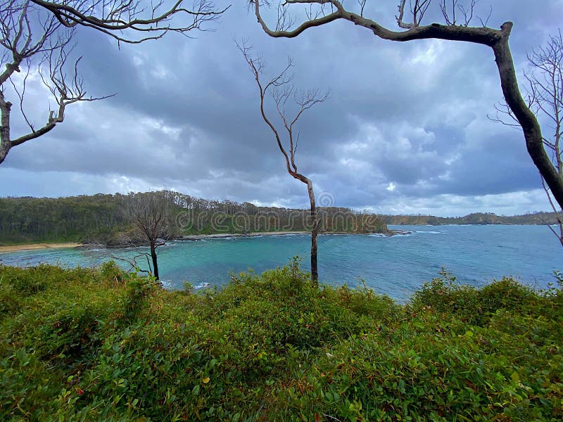 Post-Fire Beach in Australia Stock Photo - Image of holiday, mountain ...