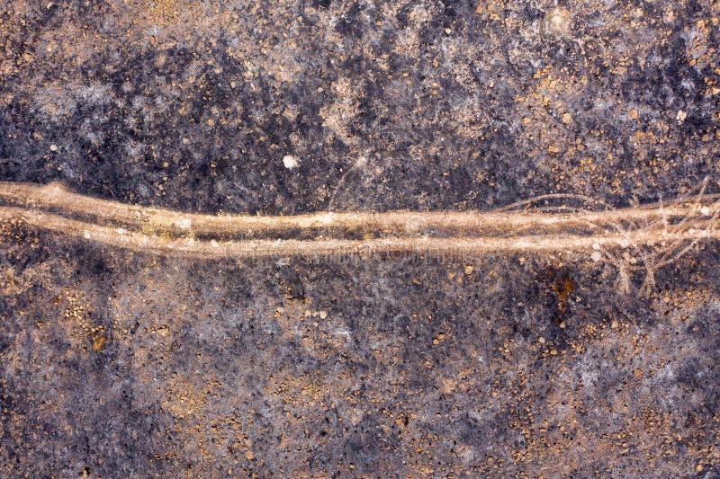 Scorched land after a fire stock image. Image of arid - 269899177