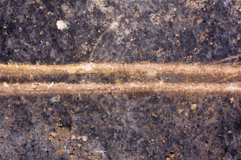 Scorched land after a fire stock image. Image of arid - 269899177