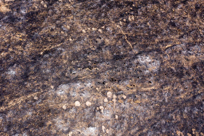 Scorched land after a fire stock image. Image of arid - 269899177