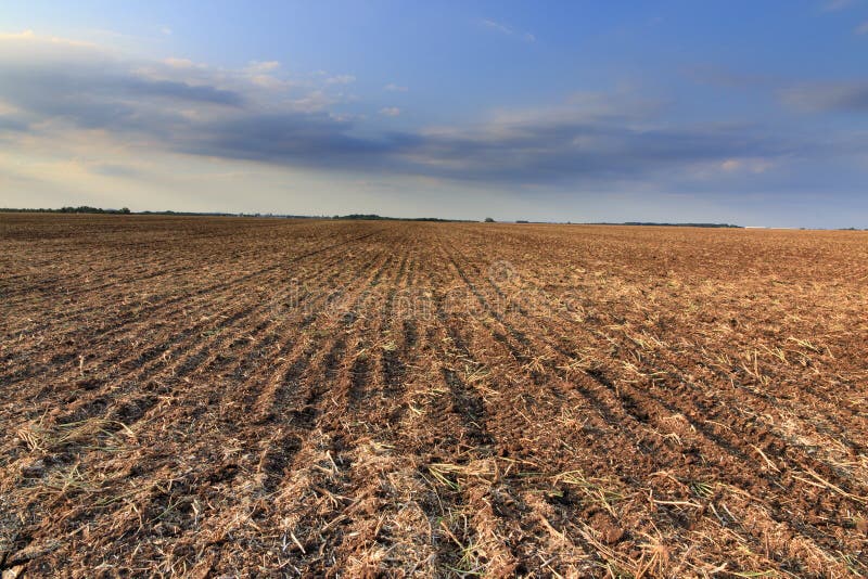 Post-harvest field stock image. Image of agriculture - 191343879
