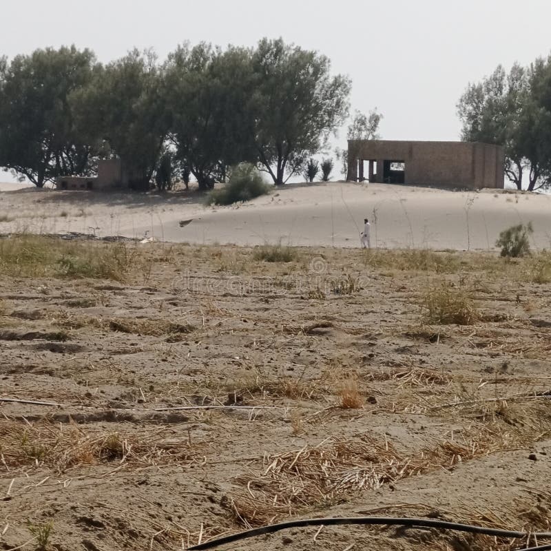 Post Harvest Field View in Desert Stock Image - Image of field, view ...