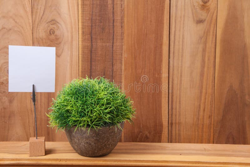 Note holder and plant stock photo. Image of work, desk - 86334010