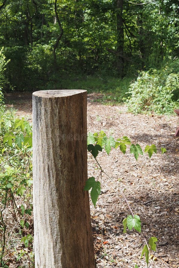 This Post or Marker is on the Trail in the Woods. Stock Photo - Image ...