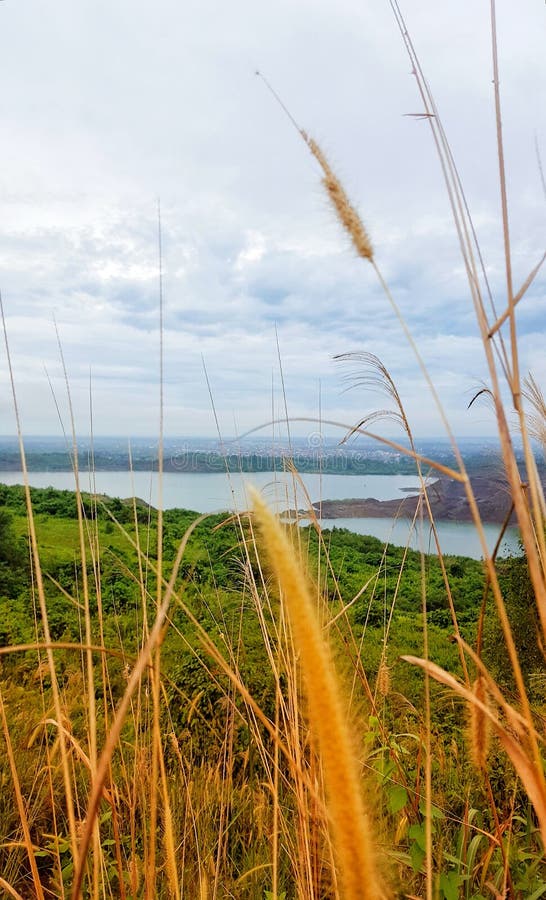 Post Mining Artificial Lake Stock Image - Image of marsh, tree: 219543229