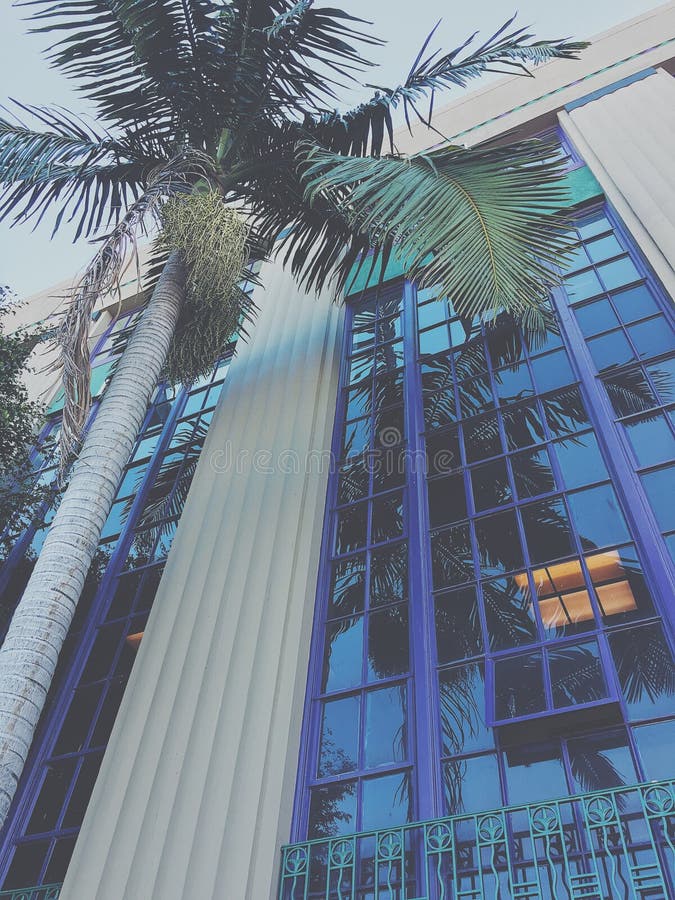 Post office and palm tree stock image. Image of post - 91353575