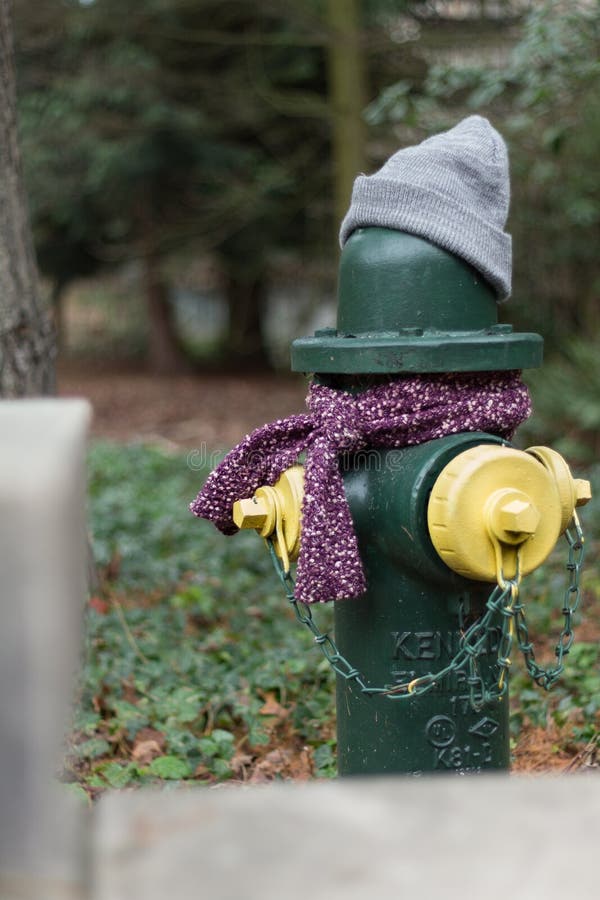 A Post Properly Dressed for the Winter at Seattle, Washington 18 Stock ...