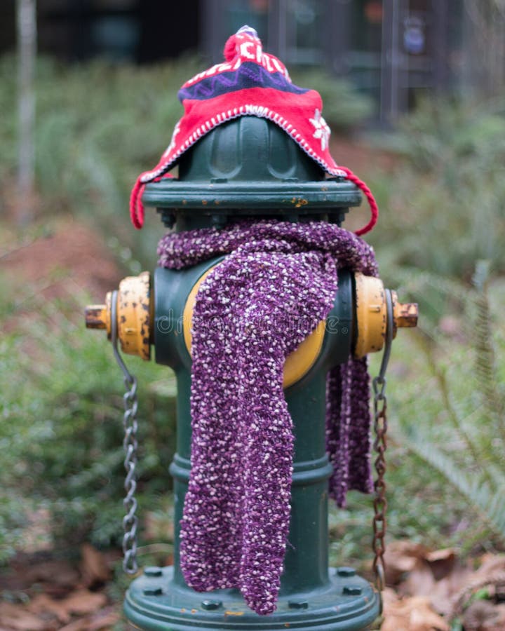 A Post Properly Dressed for the Winter at Seattle, Washington 1 Stock ...