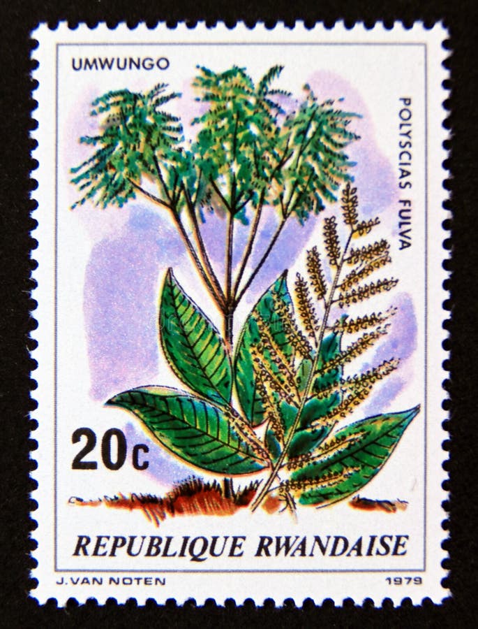 Postage Stamp Rwanda, 1979. Polycias Fulva Shrub Editorial Image ...
