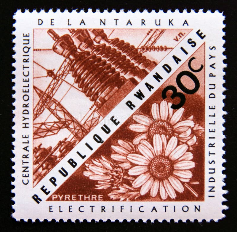 Postage Stamp Rwanda, 1967. Transformer and Chrysanthemums Pyrethrum ...