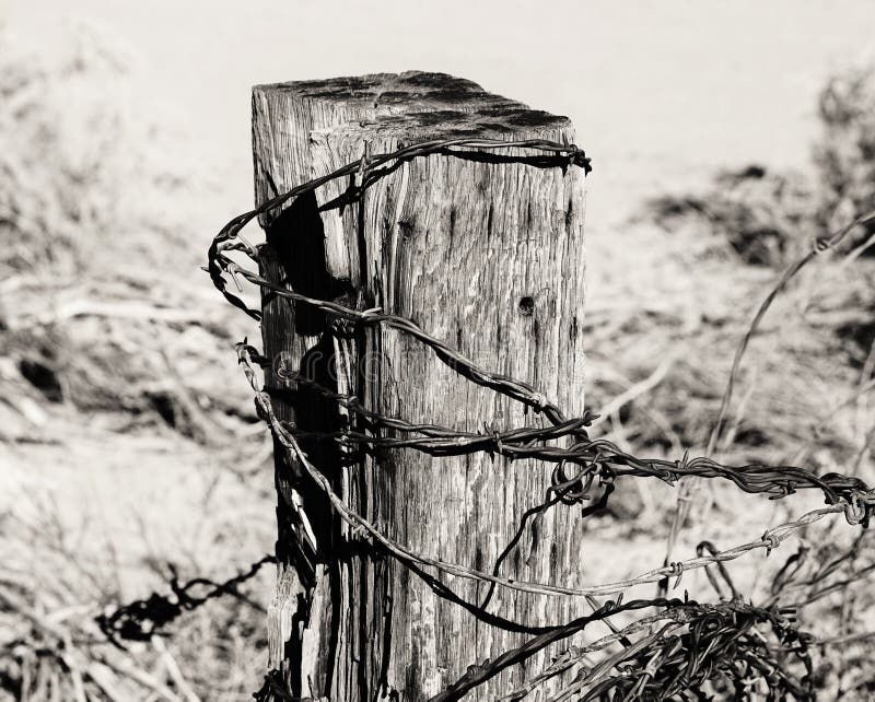 Post and wire. stock photo. Image of craftsmanship, post - 52020278