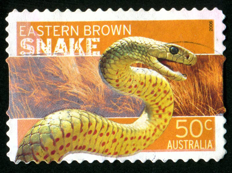 Snake editorial photography. Image of hunting, stamp - 227794732