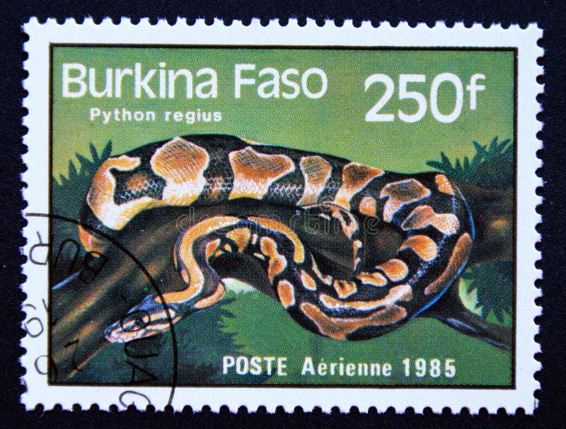 Amphibians Reptiles Retro Stock Photos - Free & Royalty-Free Stock ...