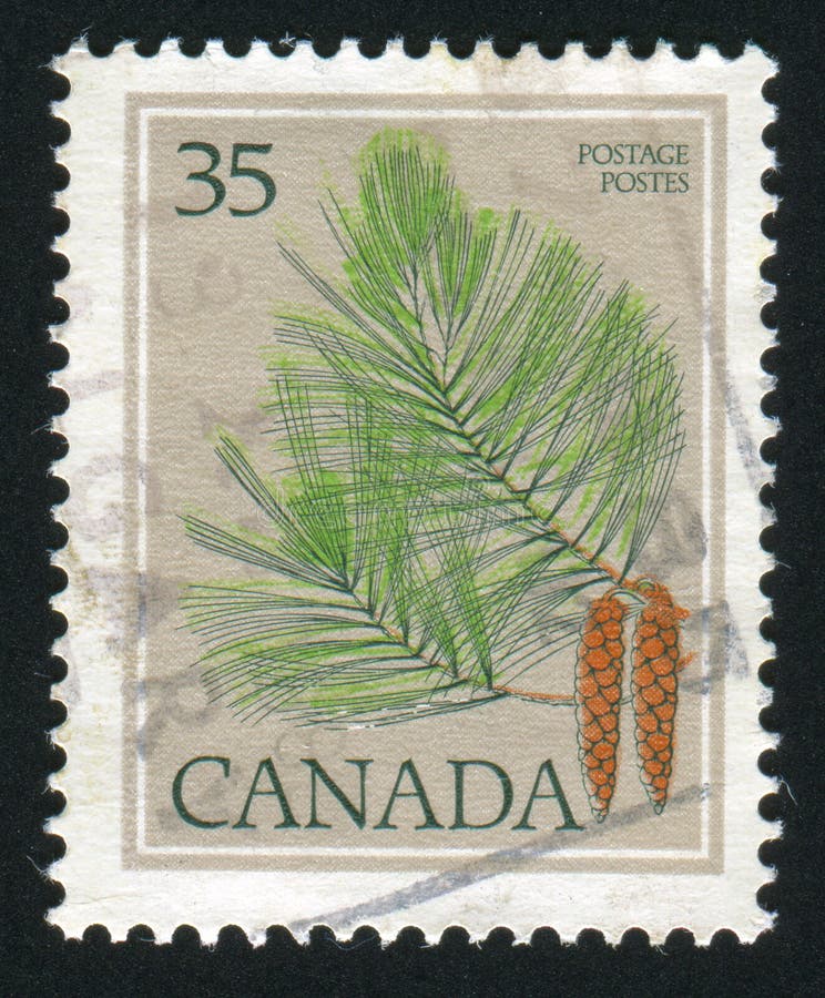 Postage stamp editorial photography. Image of mail, forest - 223615077