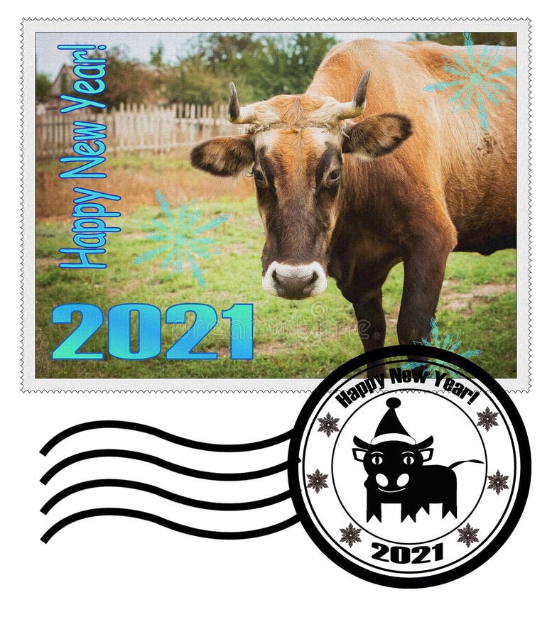 Year 2021 Seal Stock Photos - Free & Royalty-Free Stock Photos from ...