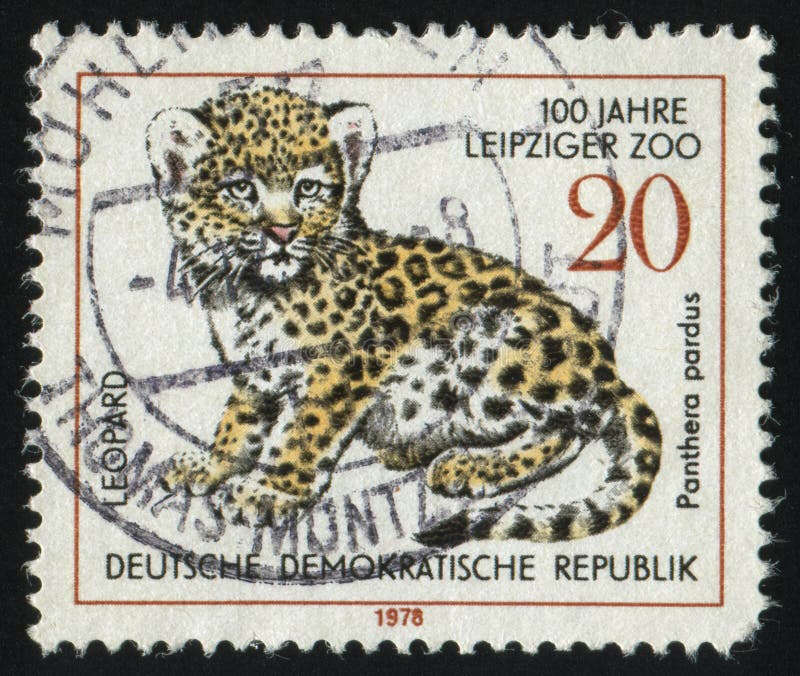 Postage stamp editorial photo. Image of postmark, leopard - 202285731