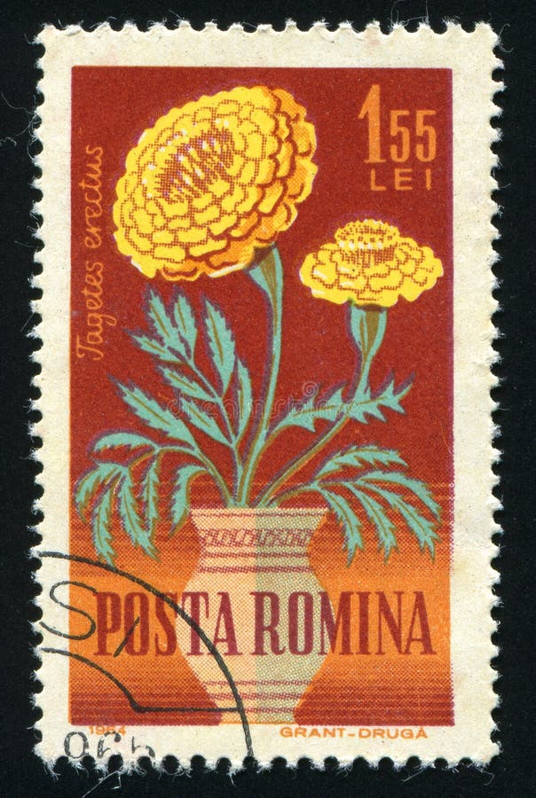 Postage stamp editorial photo. Image of plants, leaf - 144846626