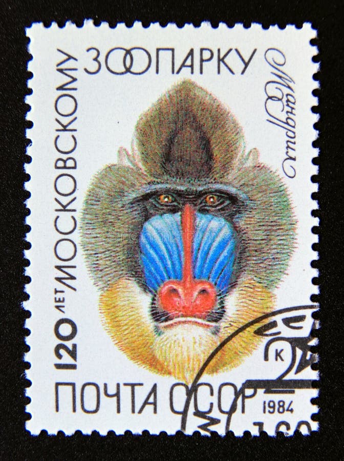 Postage Stamp Soviet Union, CCCP, 1984. Mandrill Mandrillus Sphinx ...