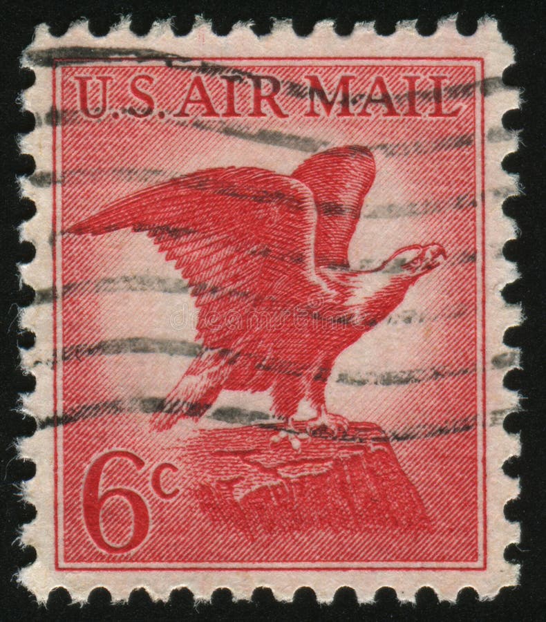 American Bald Eagle editorial stock image. Image of animal - 136623959