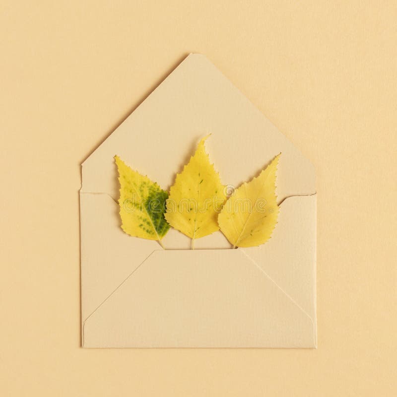 Postal Envelope with Autumn Leaves Stock Photo - Image of postal ...