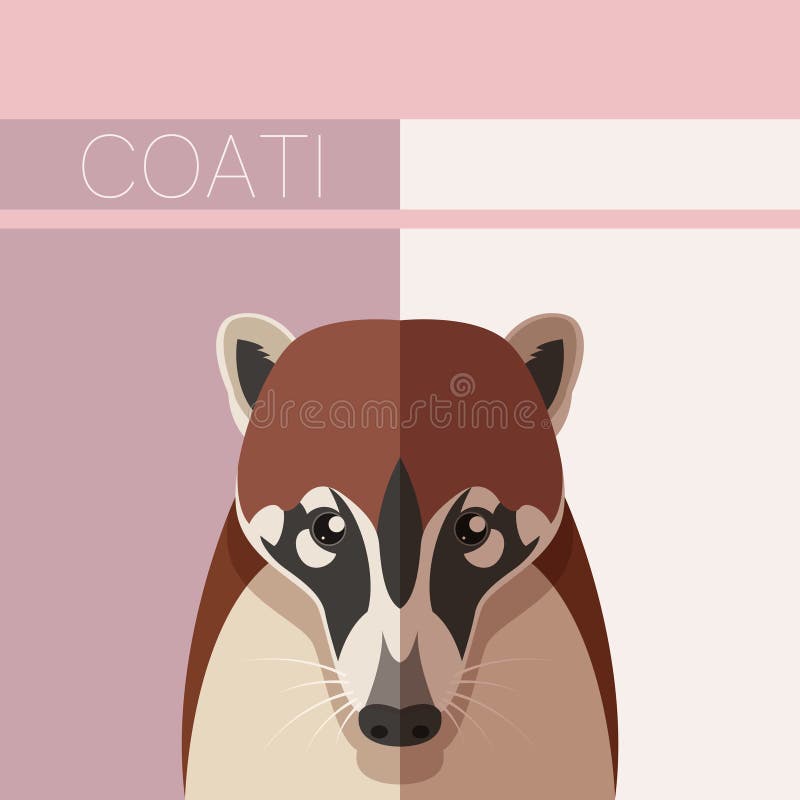 Coati Ilustraciones Stock, Vectores, Y Clipart – (620 Ilustraciones Stock)