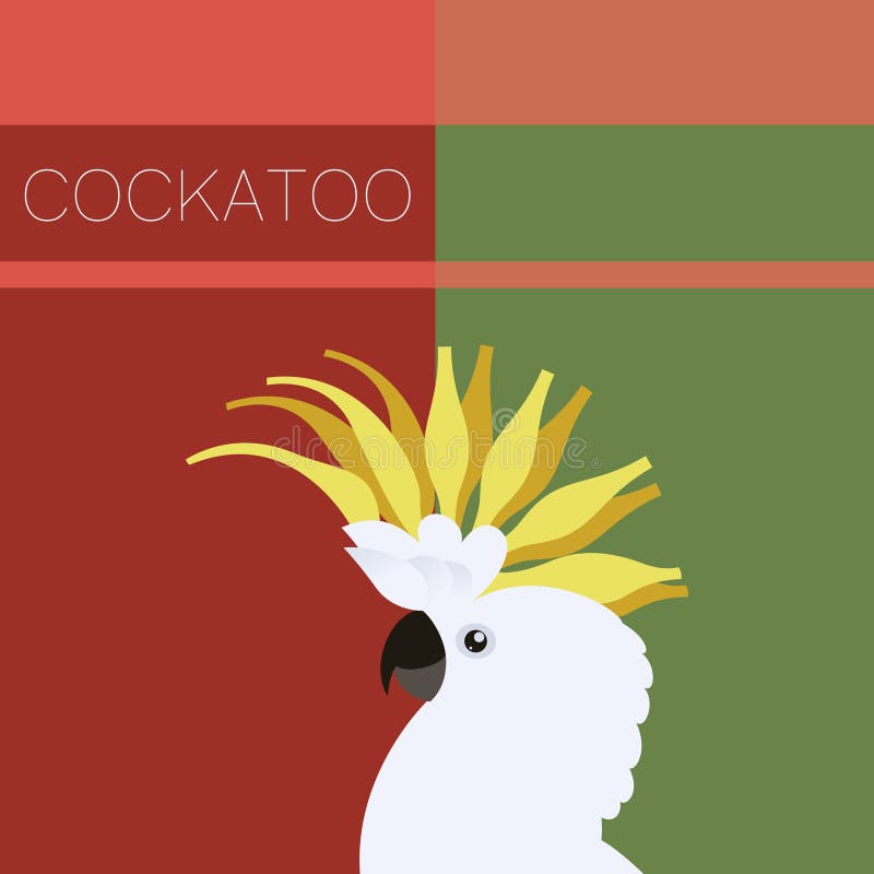 Postal plana de la cacatúa ilustración del vector. Ilustración de fondo ...