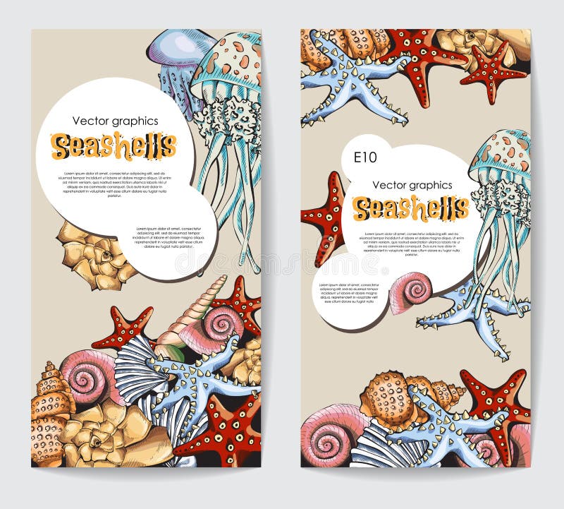 Postcard with Bright Shells Stock Illustration - Illustration of ...