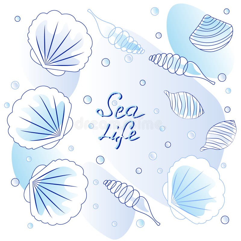 Postcard with Cute Seashells in the Contours Stock Vector ...