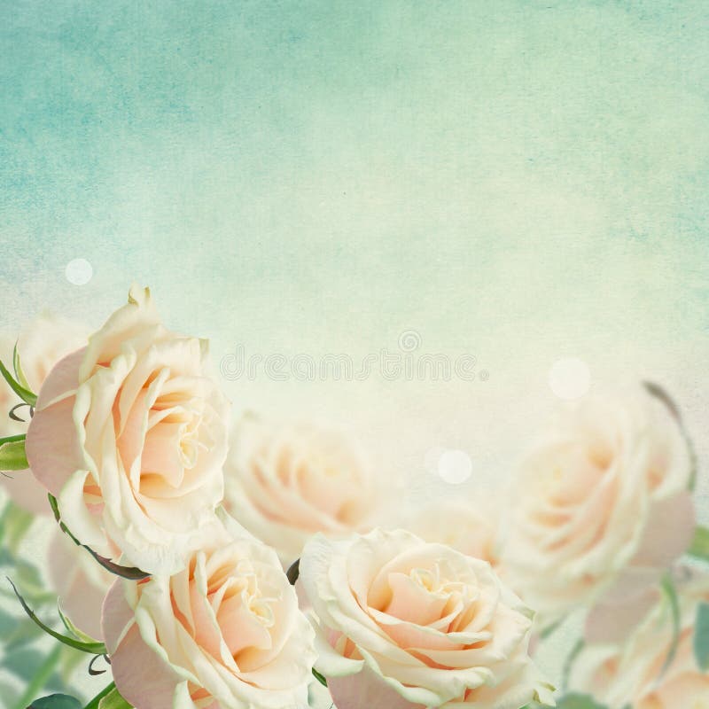 Postcard with Elegant Flowers Stock Photo - Image of invitation ...